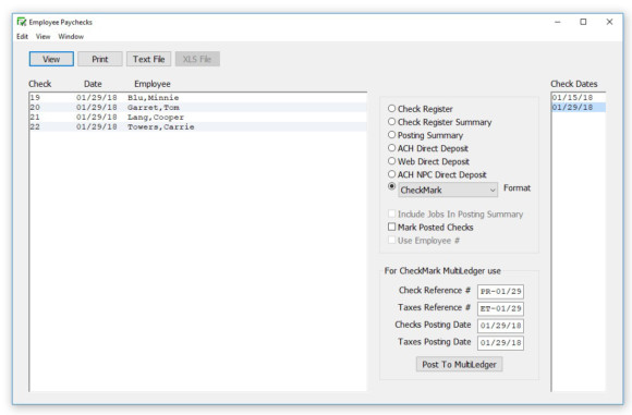 How To Create Employee Paychecks Reports In CheckMark Payroll