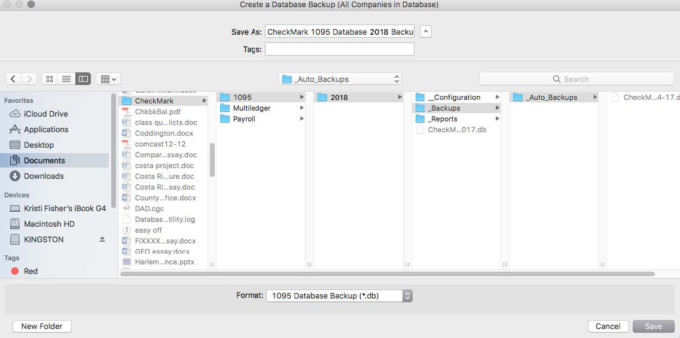 How to Back Up Database Using the Backup Database Command in CheckMark 1095 Software
